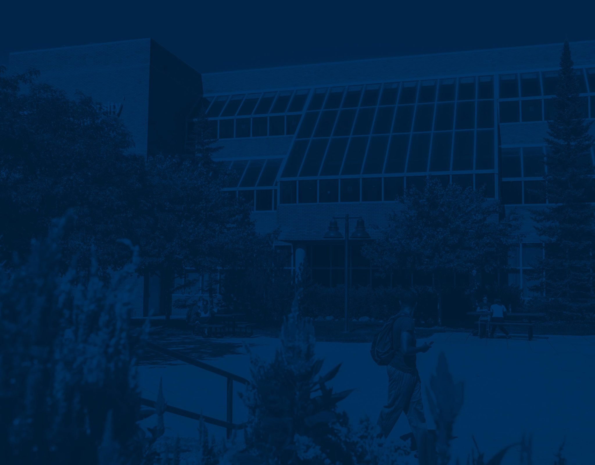 Kit di strumenti per il successo e le risorse da RN a BSN | Facoltà di ...