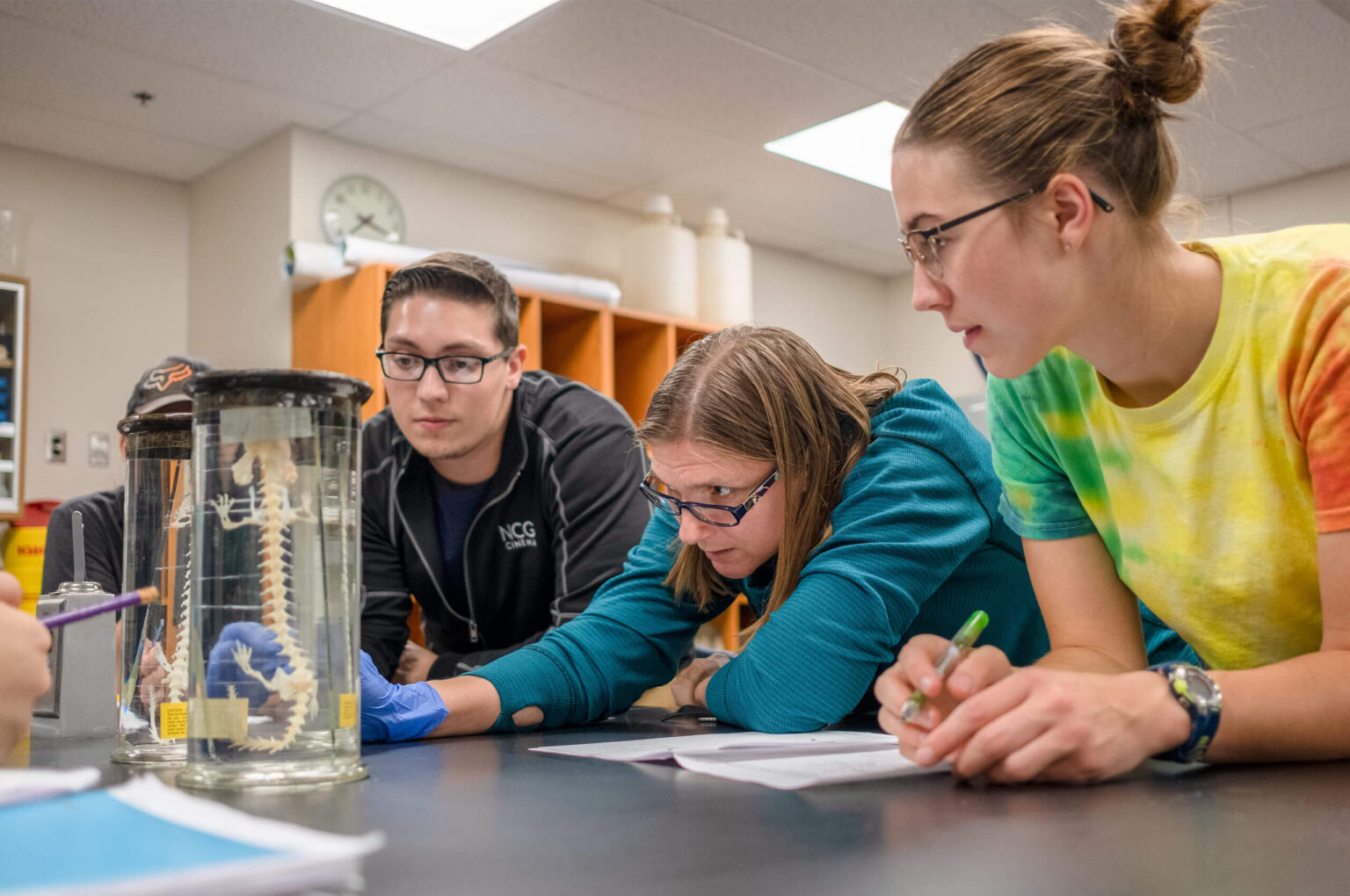 Wildlife Biology | University of Michigan-Flint College of Innovation ...