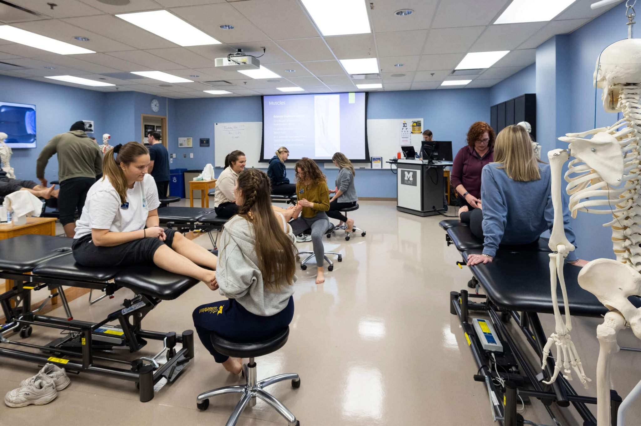 Health Sciences/Physical Therapy 3+3 BS/DPT | University of Michigan ...